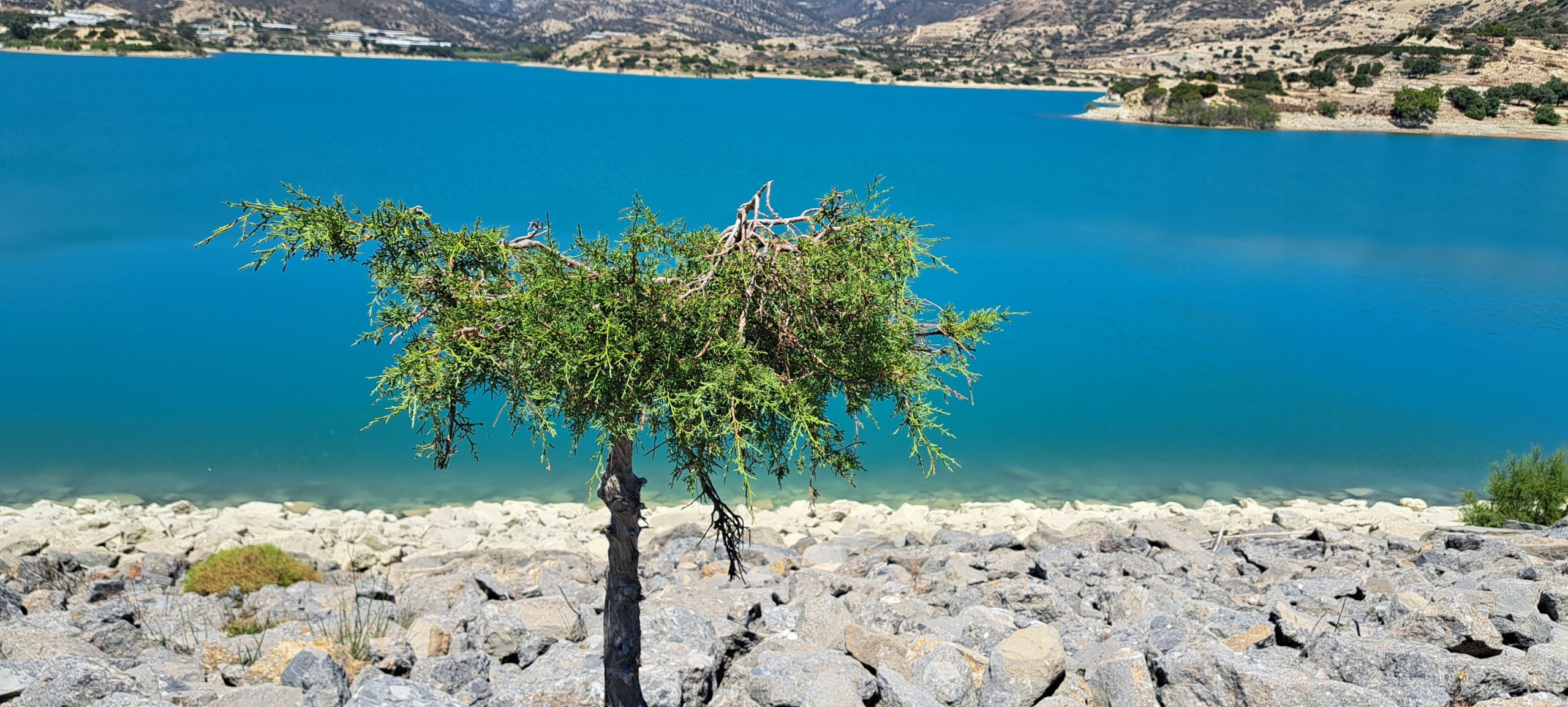 ΖΩΤΙΚΗΣ ΣΗΜΑΣΙΑΣ ΤΑ ΑΝΤΙΠΛΗΜΜΥΡΙΚΑ ΤΗΣ ΓΡΑ ΛΥΓΙΑΣ ΚΑΙ ΤΑ ΣΥΝΟΔΑ ΕΡΓΑ ...