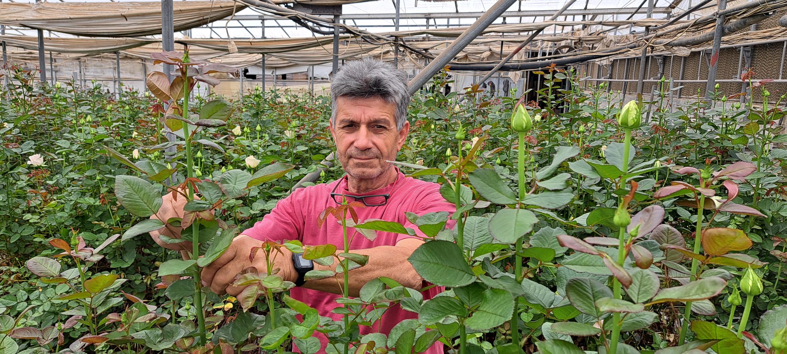 ΟΧΙ ΣΤΗΝ ΥΠΟΧΡΕΩΤΙΚΗ ΑΣΦΑΛΙΣΗ ΤΩΝ ΘΕΡΜΟΚΗΠΙΩΝ ΣΤΟΝ ΕΛΓΑ ΑΠΟ ΤΟΥΣ ...